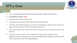 Bioinformatic analysis IFNG gene.pptx