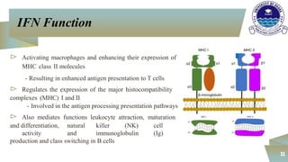 Bioinformatic analysis IFNG gene.pptx