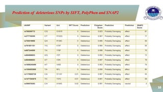 Bioinformatic analysis IFNG gene.pptx