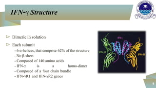 Bioinformatic analysis IFNG gene.pptx