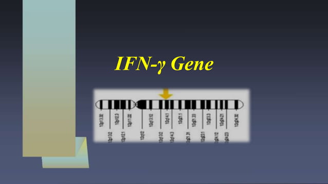 Bioinformatic analysis IFNG gene.pptx