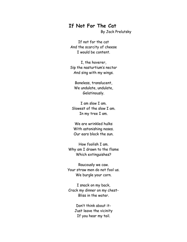 If not for the cat | PDF