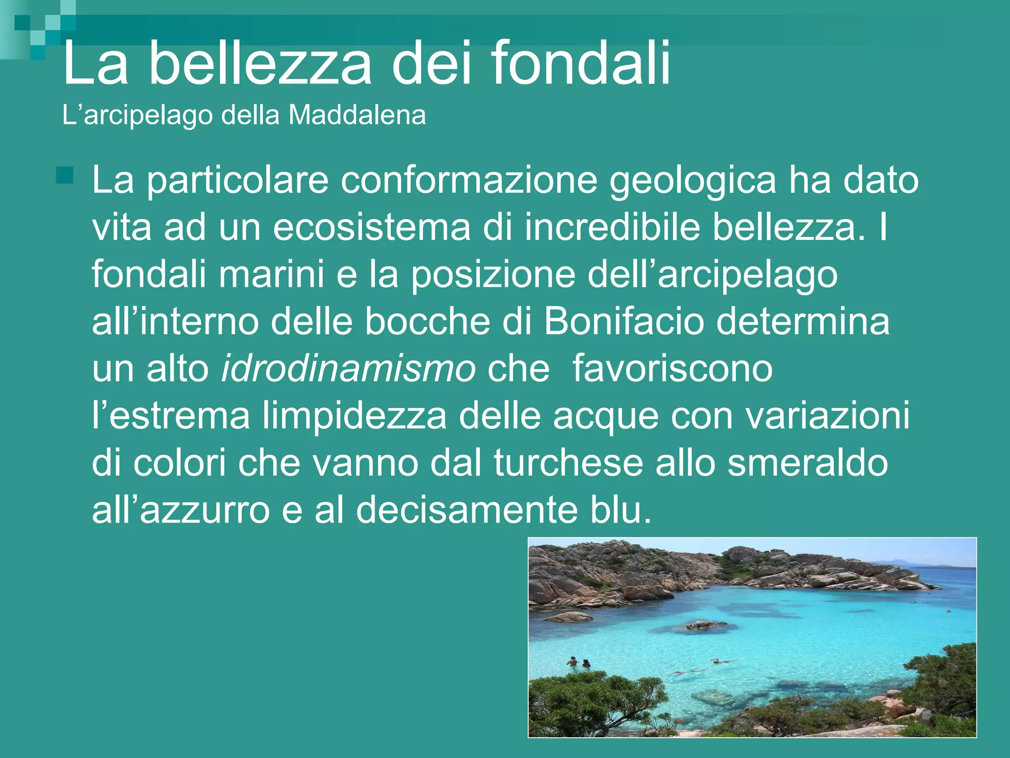 I fondali marini | PPT