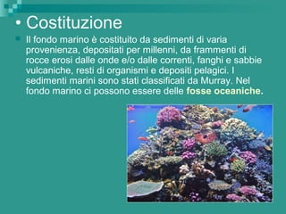 I fondali marini | PPT