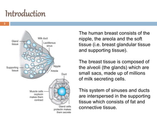 Infant Feeding Practices | PPTX