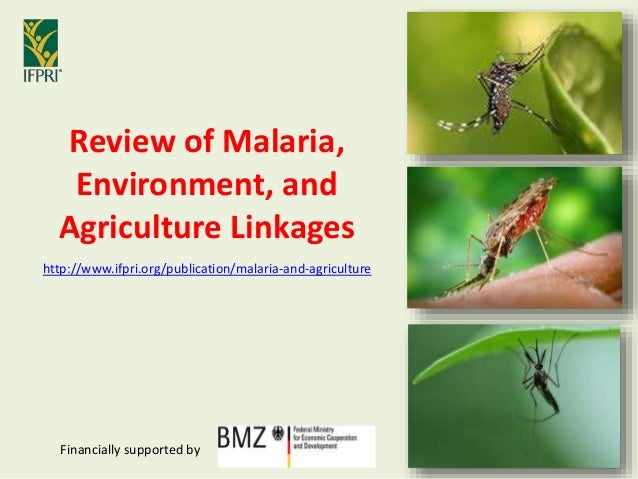 Rabies Control Program In Nepal free download programs - villamediaget