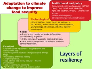 IFPRI- Climate Change and Food Security - P S Birthal, NCAP | PDF