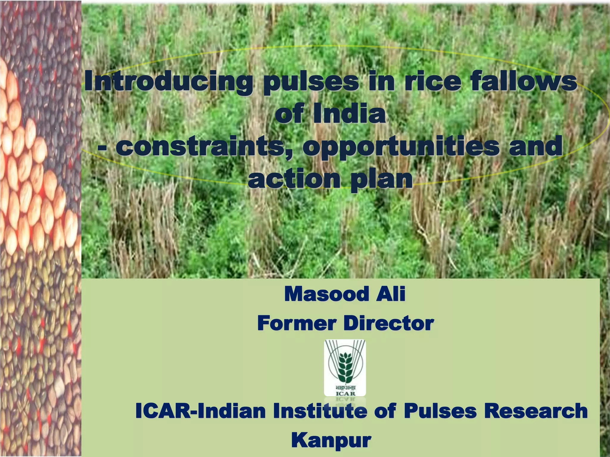 IFPR - Introducing Pulses in the Rice-Fallow areas - Mapping ...