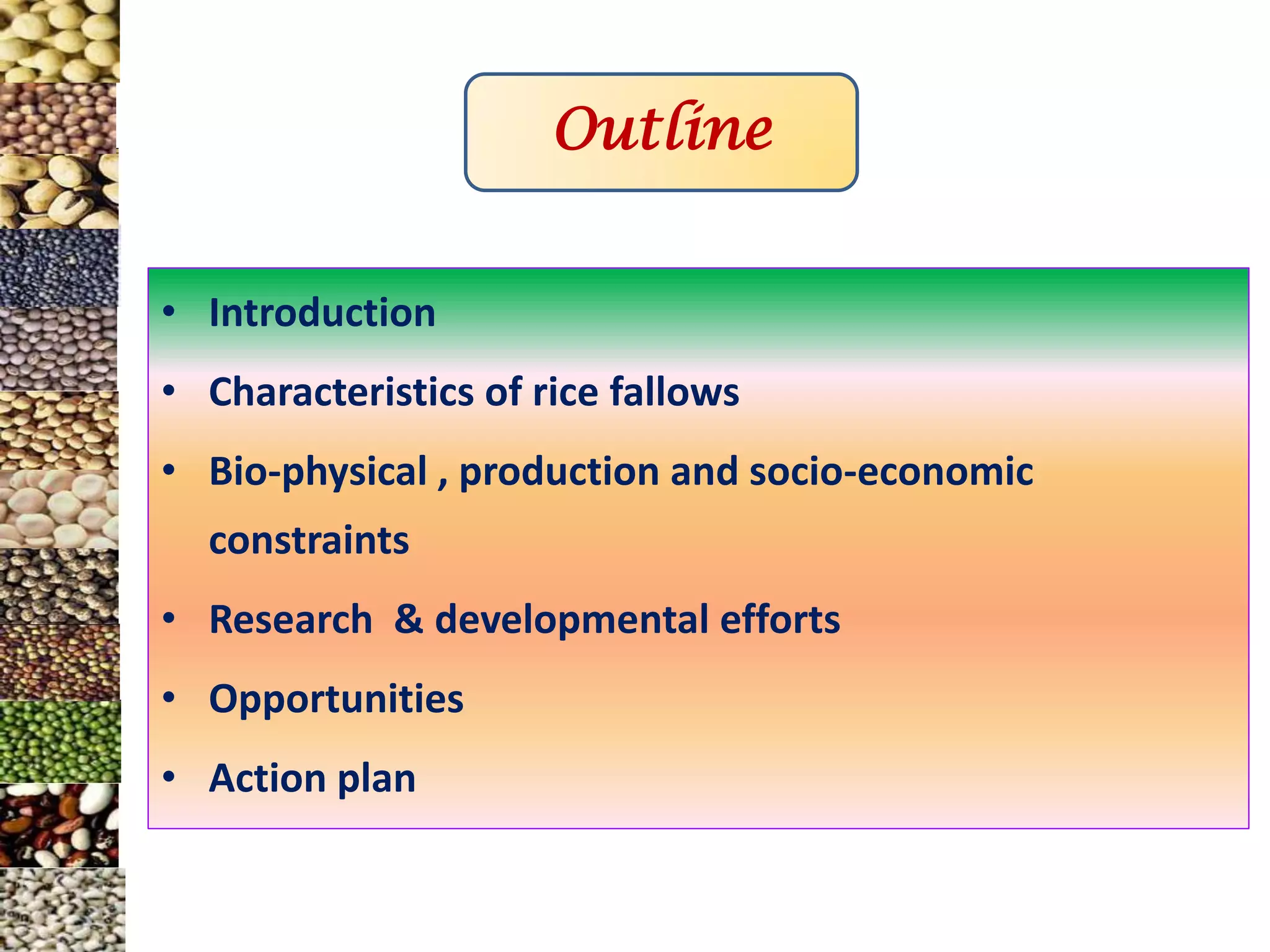 IFPR - Introducing Pulses in the Rice-Fallow areas - Mapping ...