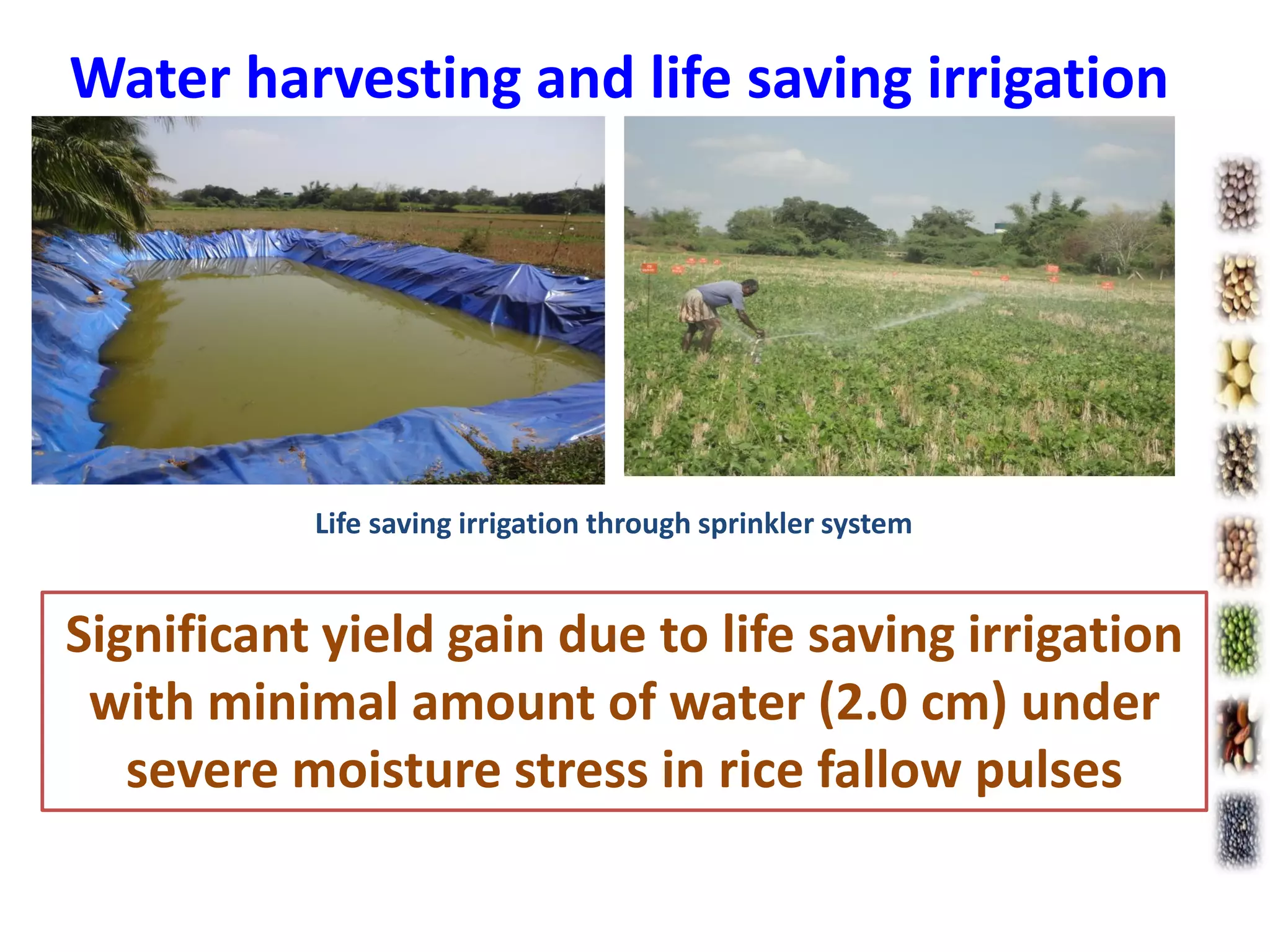 IFPR - Introducing Pulses in the Rice-Fallow areas - Mapping ...