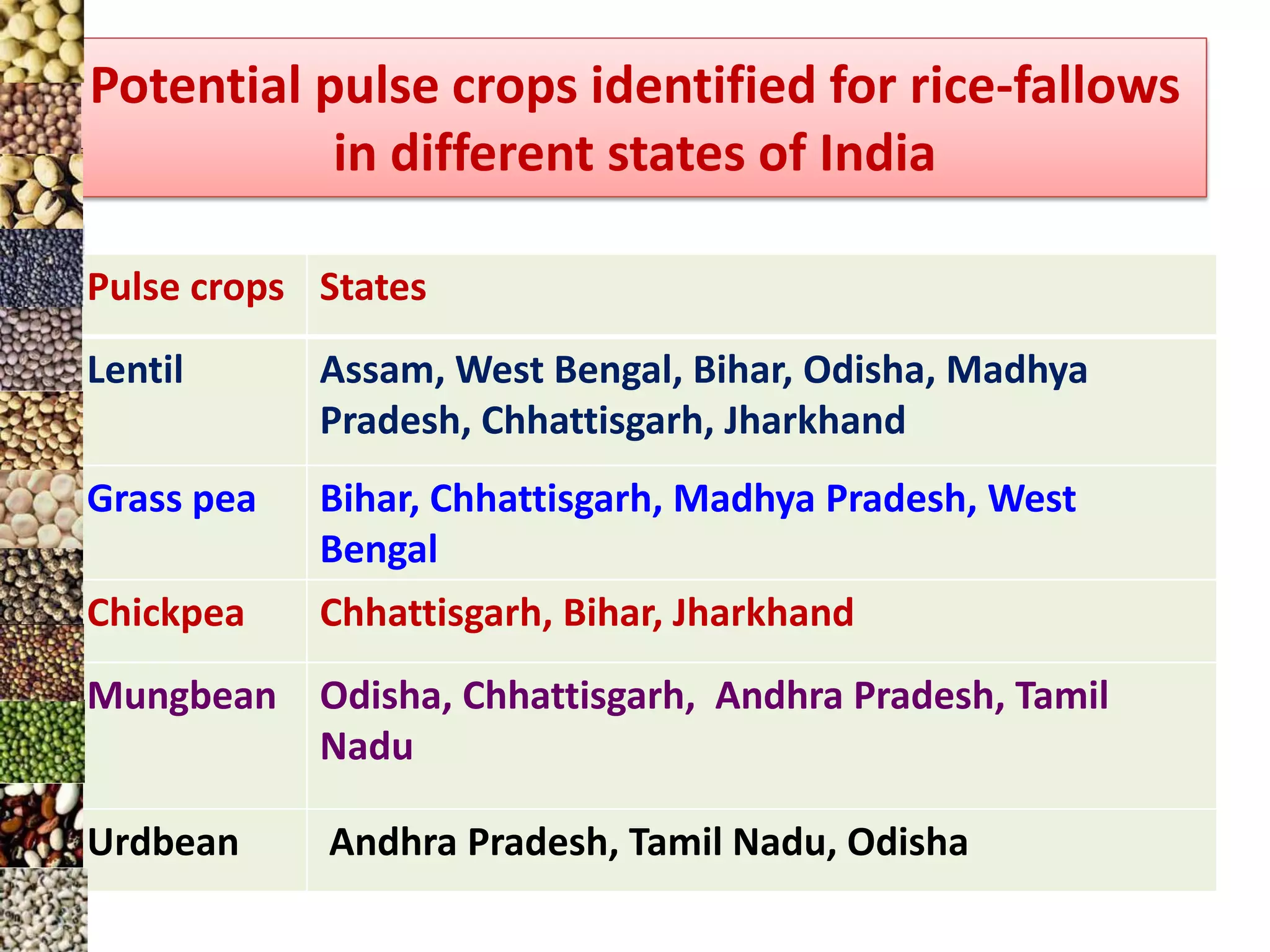IFPR - Introducing Pulses in the Rice-Fallow areas - Mapping ...