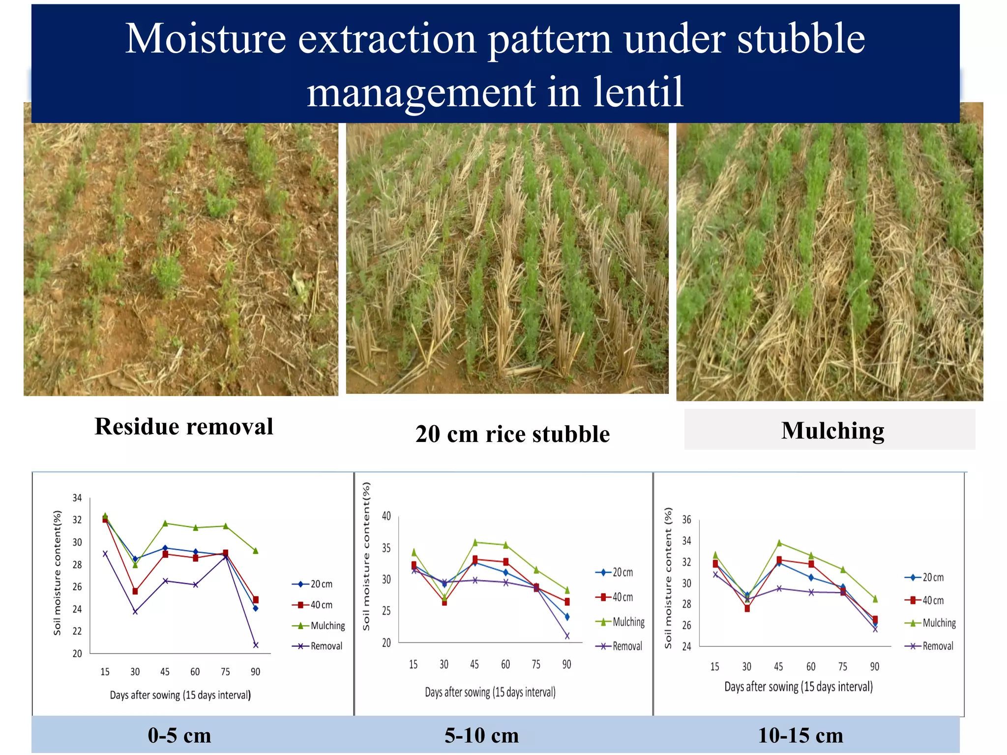 IFPR - Introducing Pulses in the Rice-Fallow areas - Mapping ...