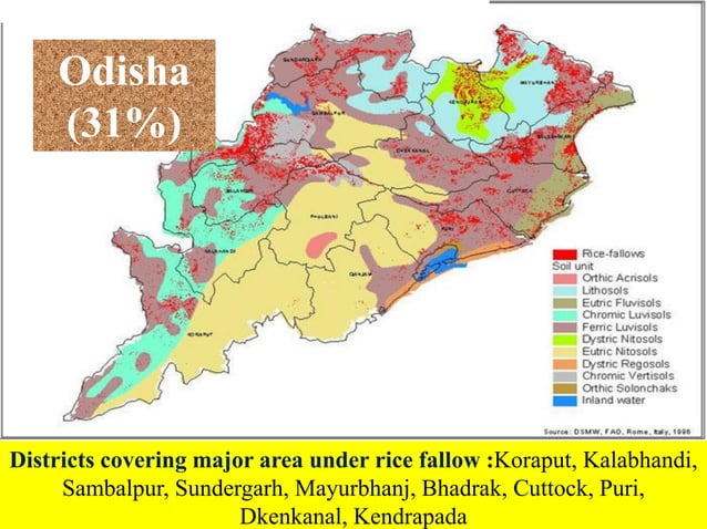 IFPR - Introducing Pulses in the Rice-Fallow areas - Mapping ...
