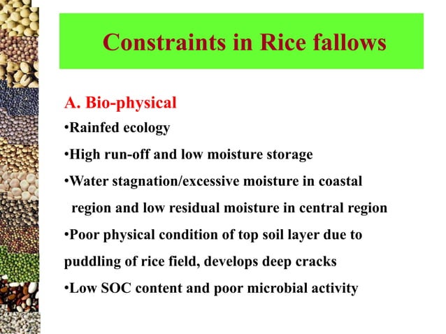 IFPR - Introducing Pulses in the Rice-Fallow areas - Mapping ...