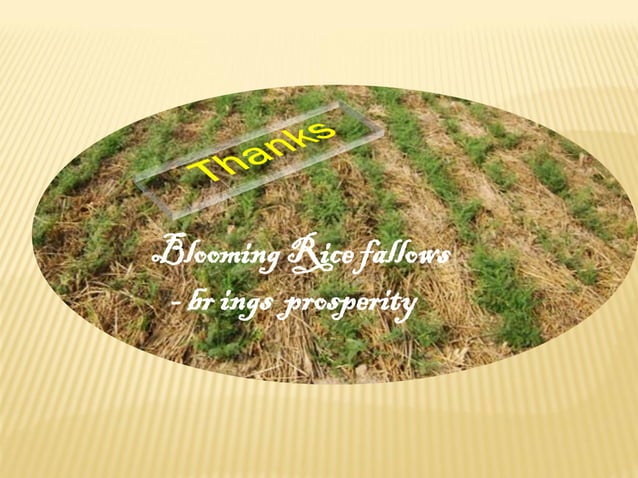 IFPR - Introducing Pulses in the Rice-Fallow areas - Mapping ...