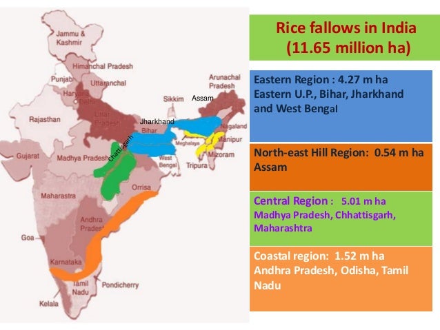 IFPR - Introducing Pulses in the Rice-Fallow areas - Mapping Ecologic…