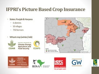 IFPRI-Linking Insurance to paddy residue management-Berber Kramer | PPT