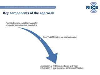 IFPRI-Role of Remote Sensing Technology in PMFBY-Manoj Yadav | PPT
