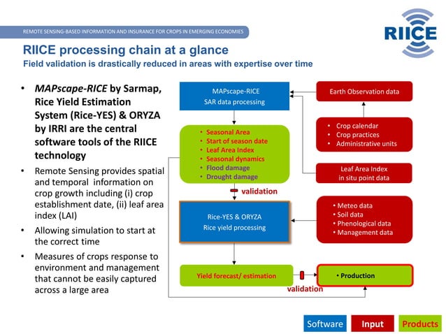 IFPRI-Role of Remote Sensing Technology in PMFBY-Manoj Yadav | PPT