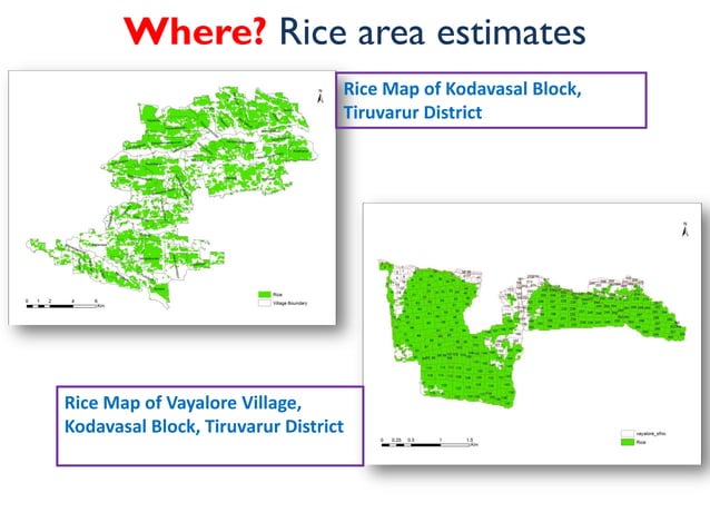 IFPRI-Role of Remote Sensing Technology in PMFBY-Manoj Yadav | PPT