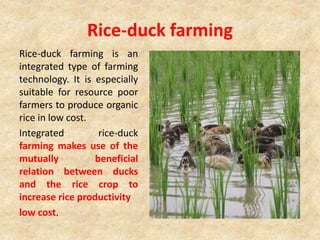 Integrated farming system | PPTX