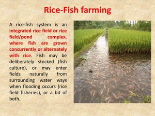 Integrated farming system | PPTX