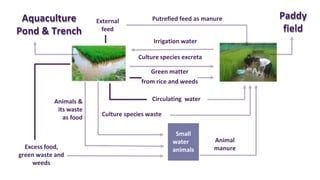 Integrated Farming System (IFS) for Sustainable Agriculture | PDF