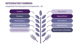 Integrated Farming System (IFS) for Sustainable Agriculture | PDF