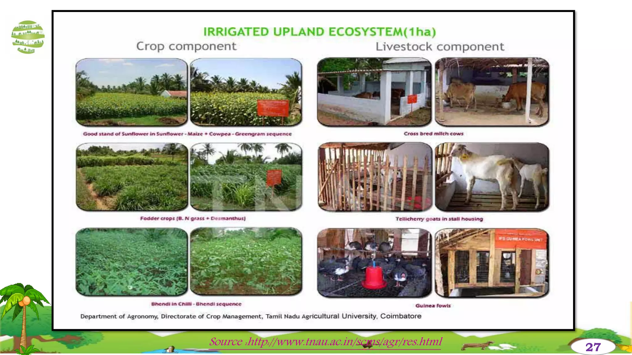 Integrated Farming System PDF | PDF