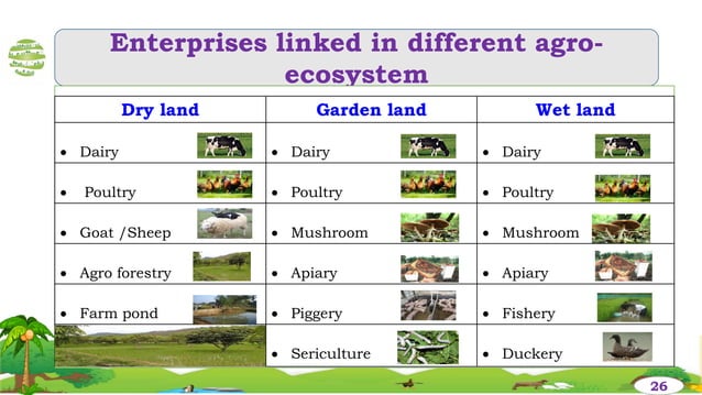 Integrated Farming System PDF | PDF