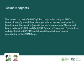 The role of forest in climate change mitigation: Introduction to REDD+ ...
