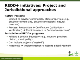 The role of forest in climate change mitigation: Introduction to REDD+ ...