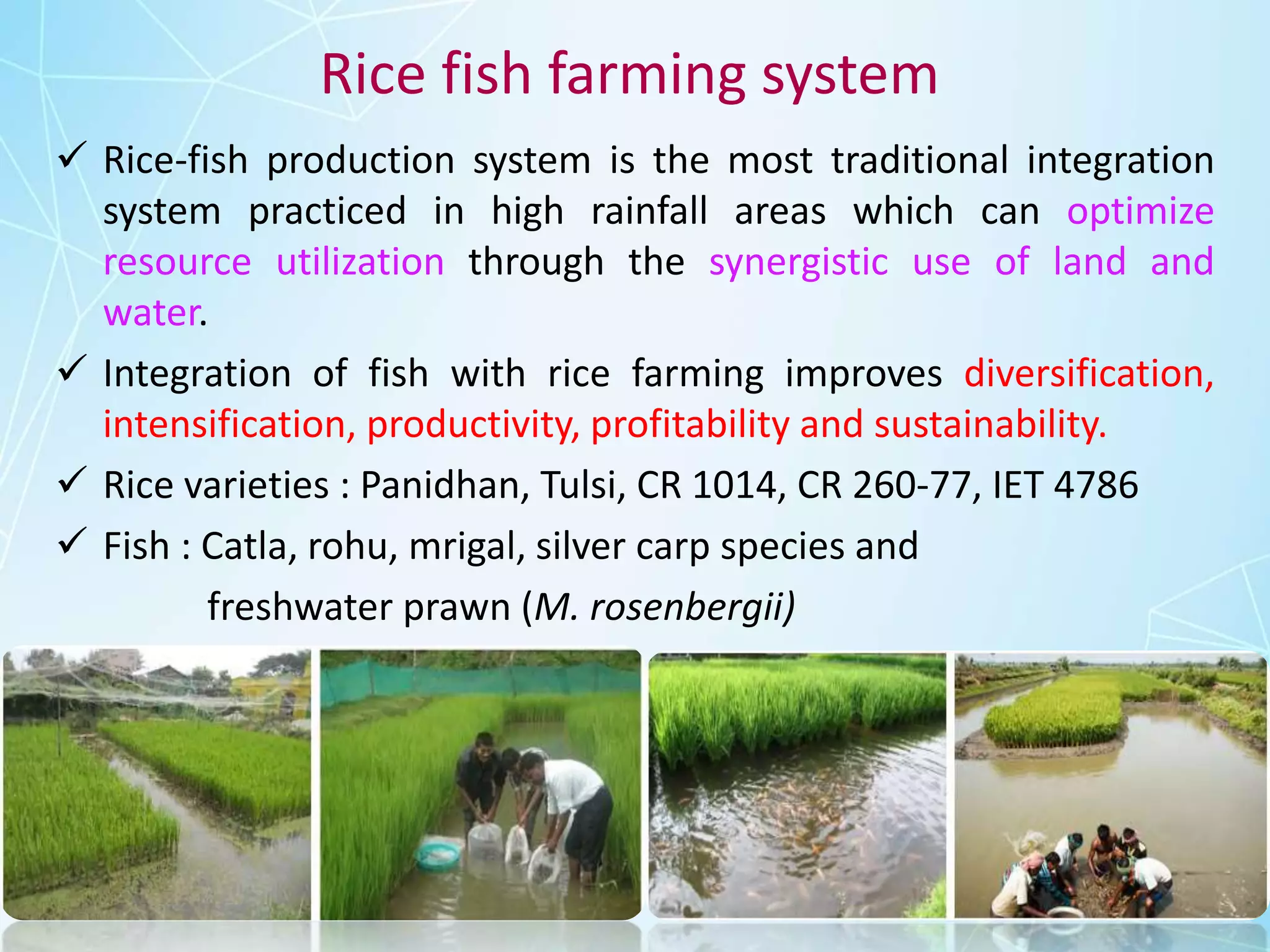 Ifs for high rainfall areas | PPTX