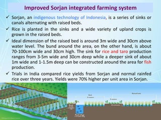 Ifs for high rainfall areas | PPTX