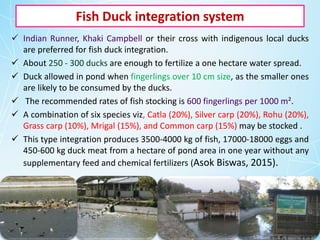 Ifs for high rainfall areas | PPTX