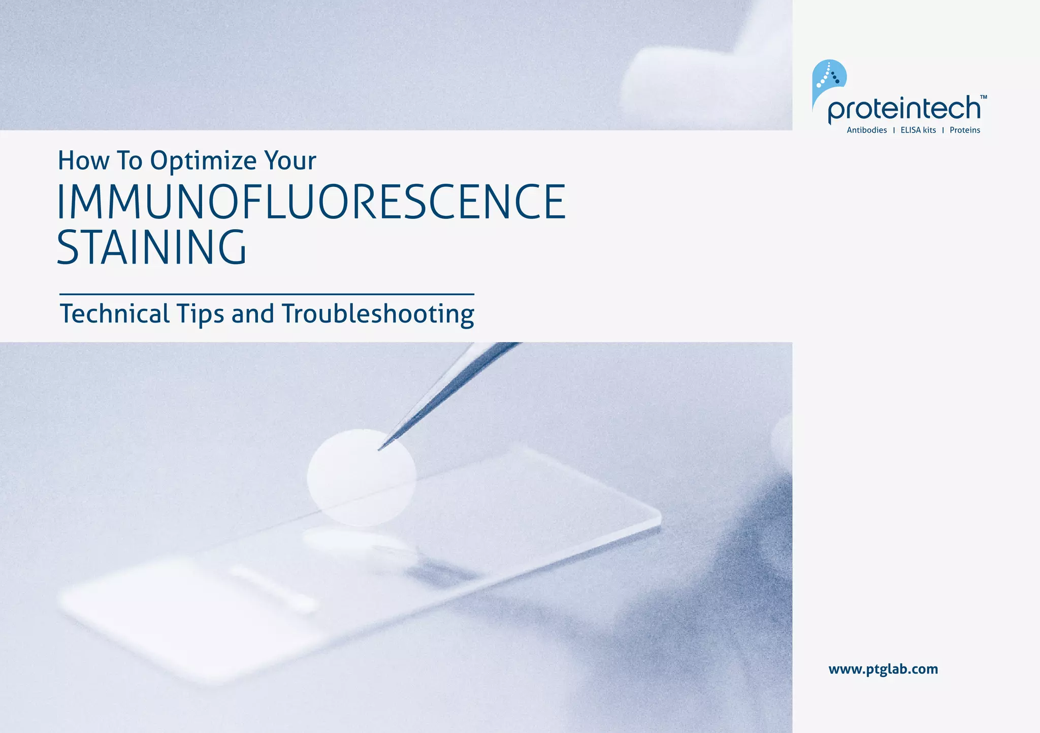 How to Optimize Your Immunofluorescence Staining | PPT