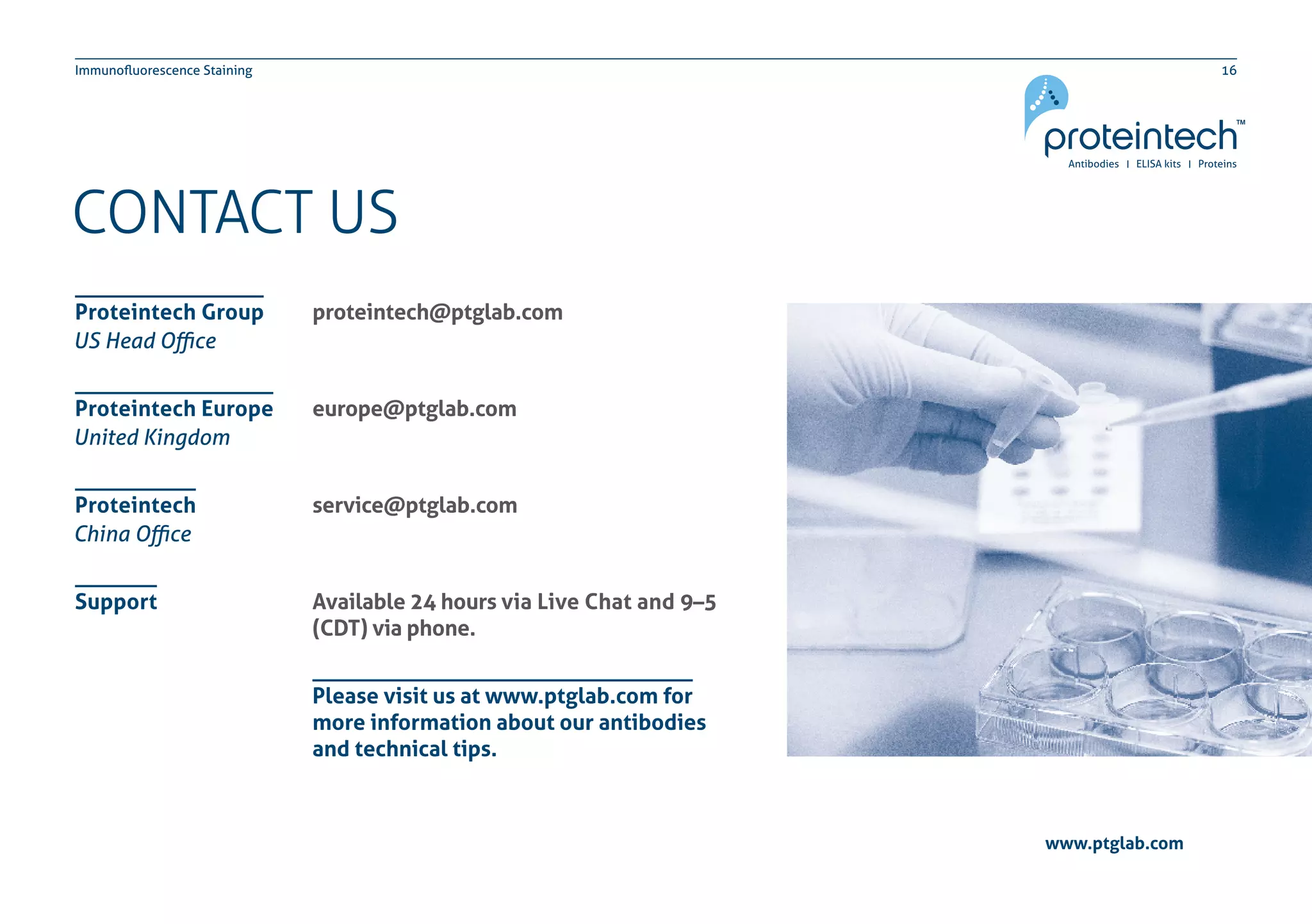 How to Optimize Your Immunofluorescence Staining | PDF
