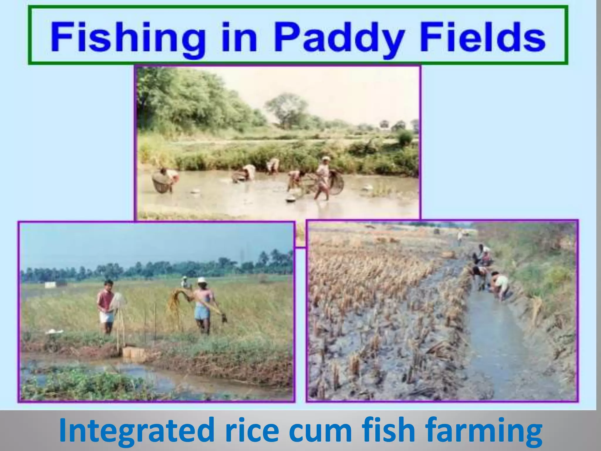 integrated farming system | PPTX