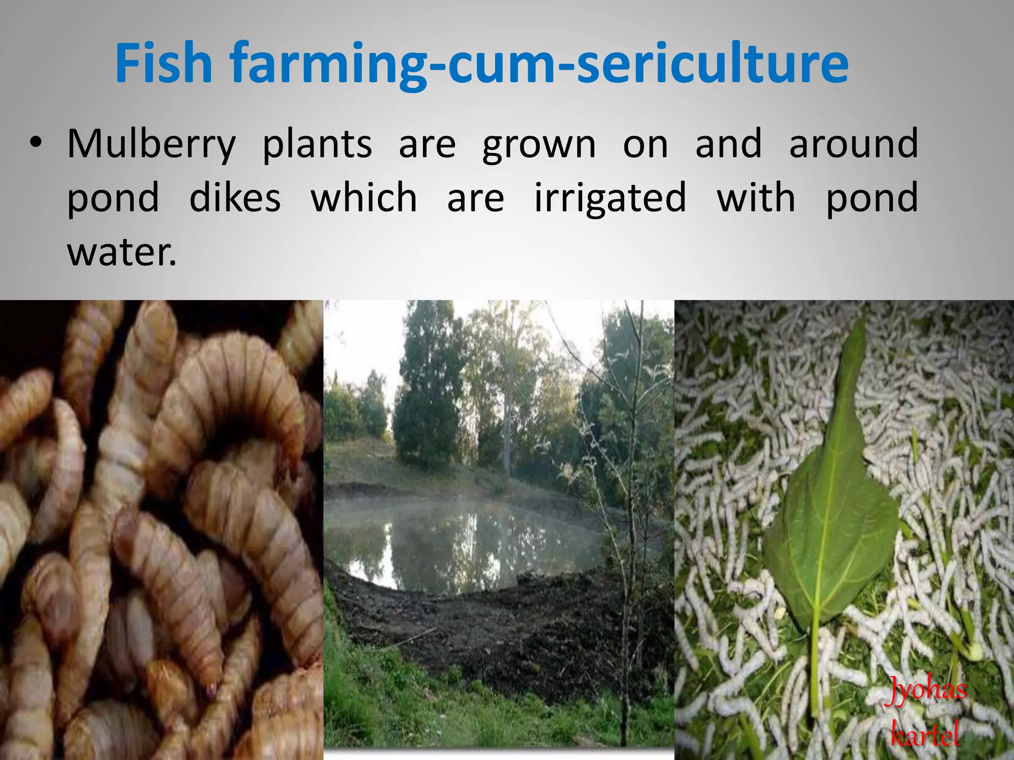 integrated farming system | PPTX