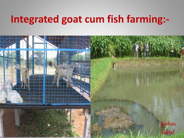 integrated farming system | PPTX | Agriculture | Industries