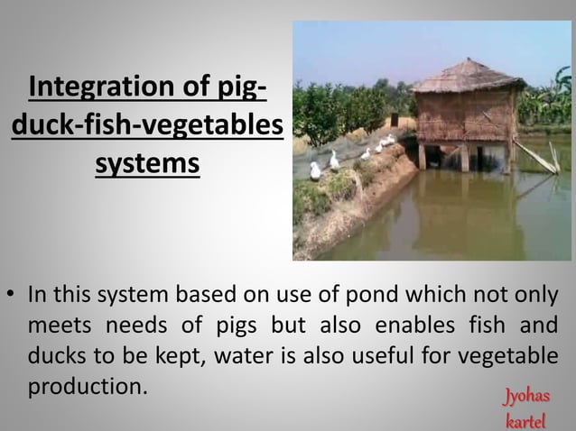 integrated farming system | PPTX | Agriculture | Industries