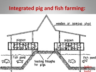 integrated farming system | PPTX