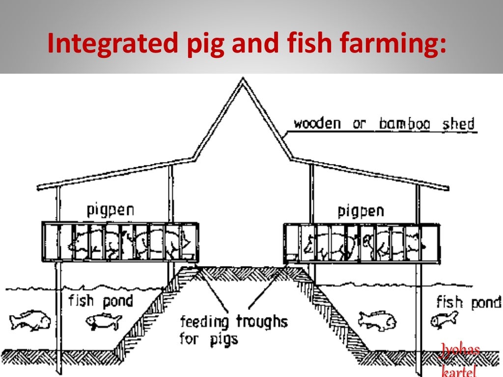 integrated farming system