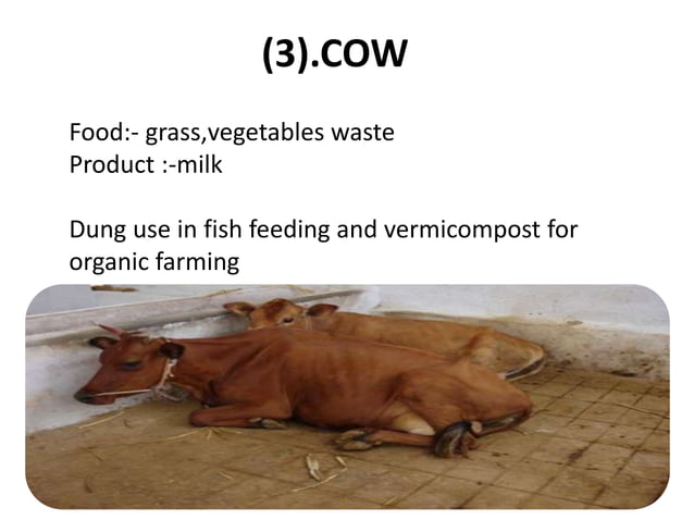 Integrated farming system [IFS] | PPTX | Agriculture | Industries
