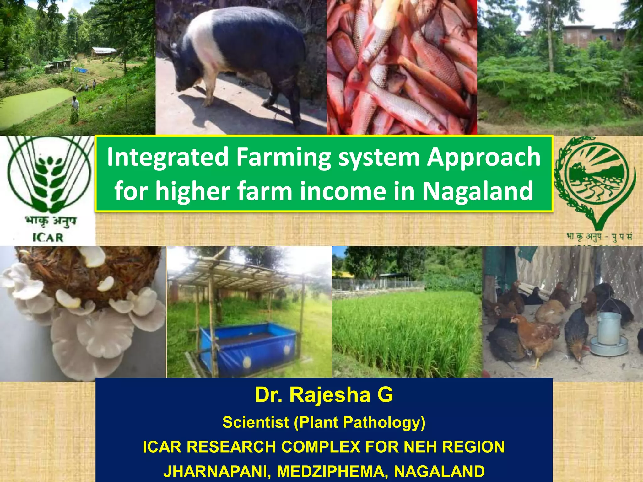 Integrated Farming system Approach for higher farm income in Nagaland | PPT