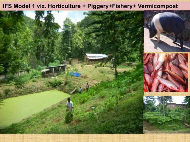 Integrated Farming system Approach for higher farm income in Nagaland | PPT