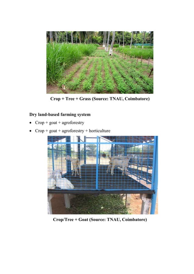 IFS&SUITABLE CROPS FOR DIFFERENT SOILS.pdf