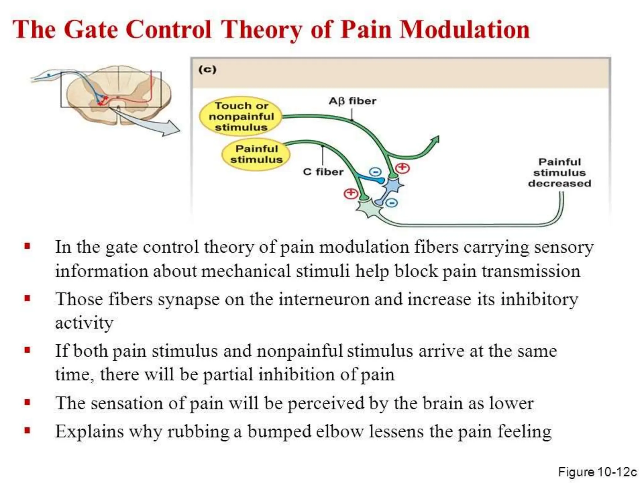 physiological effects of IFT in pain mechanism | PPTX