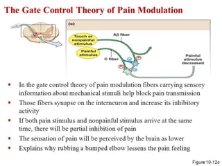 physiological effects of IFT in pain mechanism | PPTX