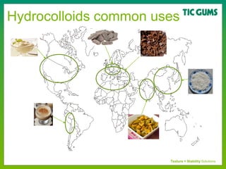 Formulating Texture & Stability Using Clean Label Hydrocolloids | PDF ...